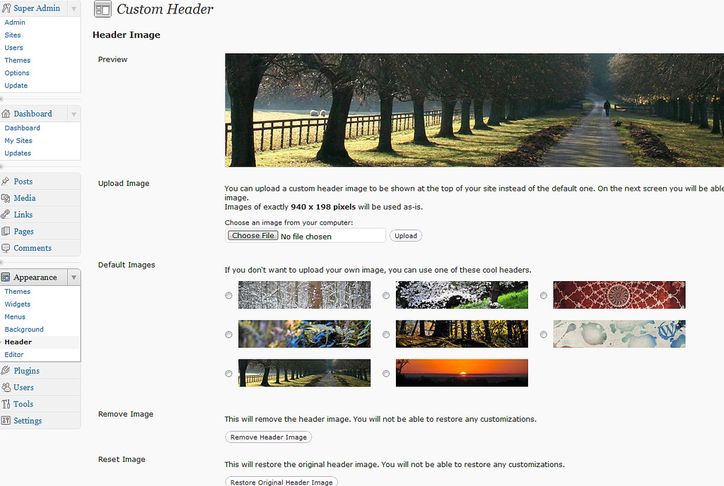 How To Choose Best Wordpress Themes For Perfect User Experience